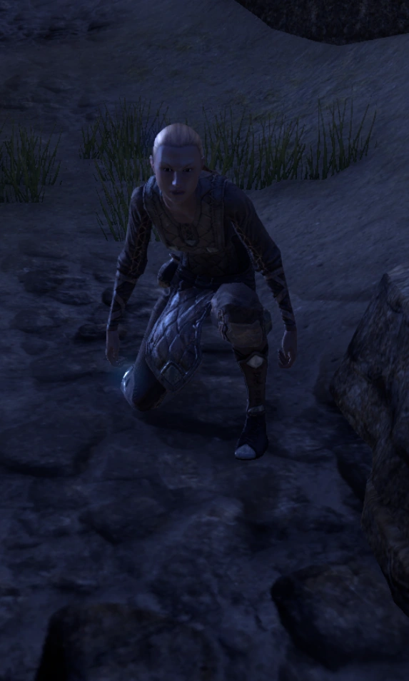 Segolene | Elder Scrolls | Fandom