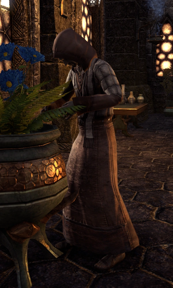 Sodres Maryon | Elder Scrolls | Fandom