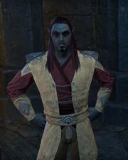 A Hireling of House Telvanni | Elder Scrolls | Fandom