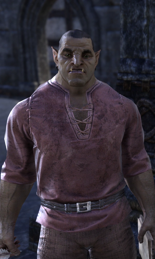 Gard gro-Wroggin | Wiki The Elder Scrolls | Fandom