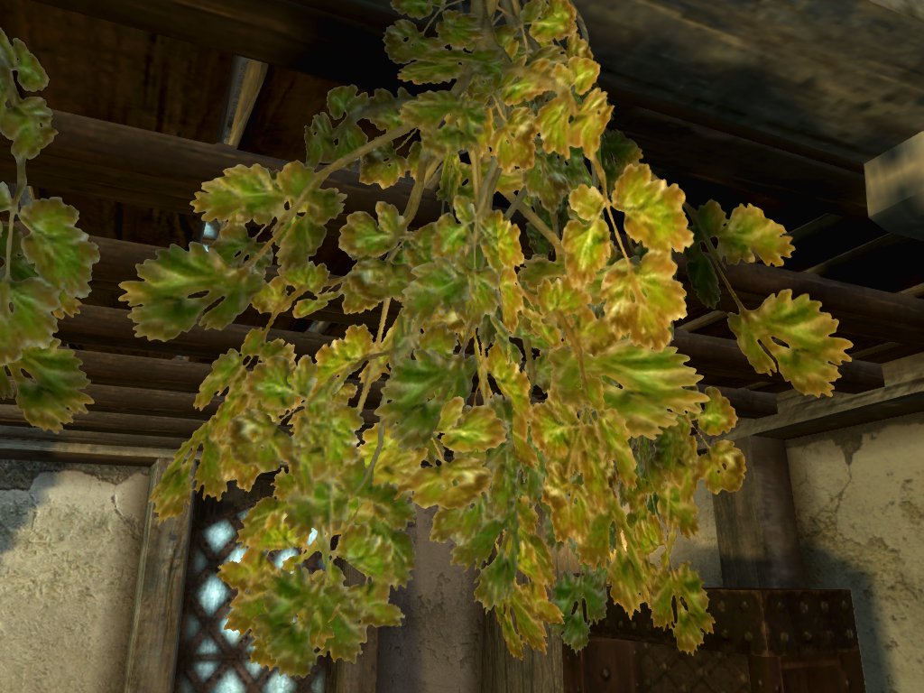 Морозная мириам Skyrim The Elder Scrolls Wiki Fandom