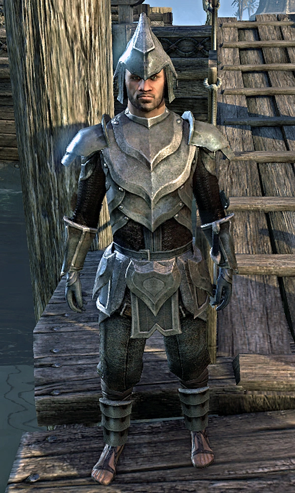 Alik'r-Beschützer | Elder Scrolls Wiki | Fandom