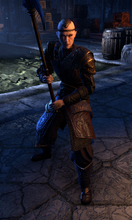 Brigand Du Sillage Noir Wiki The Elder Scrolls Fandom