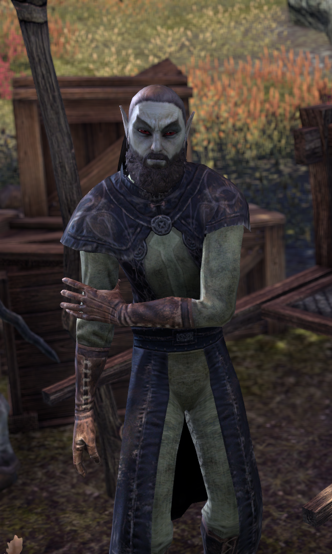Maître De Caravane Girano Wiki The Elder Scrolls Fandom
