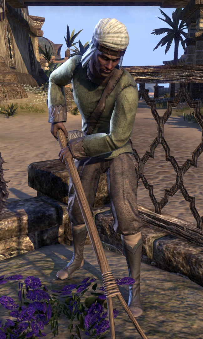 Mulham | Wiki The Elder Scrolls | Fandom