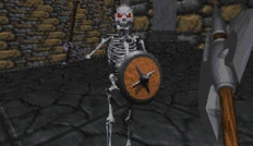Skeletal Warrior (Daggerfall) | Elder Scrolls | Fandom