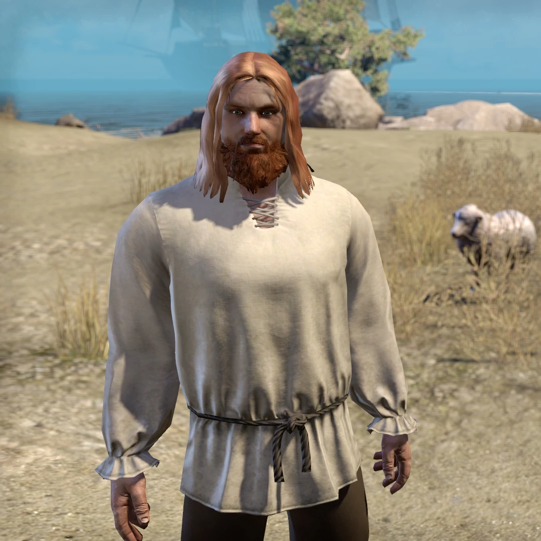 Категория:Мужчины (High Isle) | The Elder Scrolls Wiki | Fandom