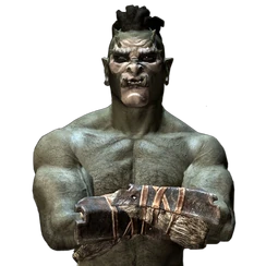 Боркул Зверь | The Elder Scrolls Wiki | Fandom