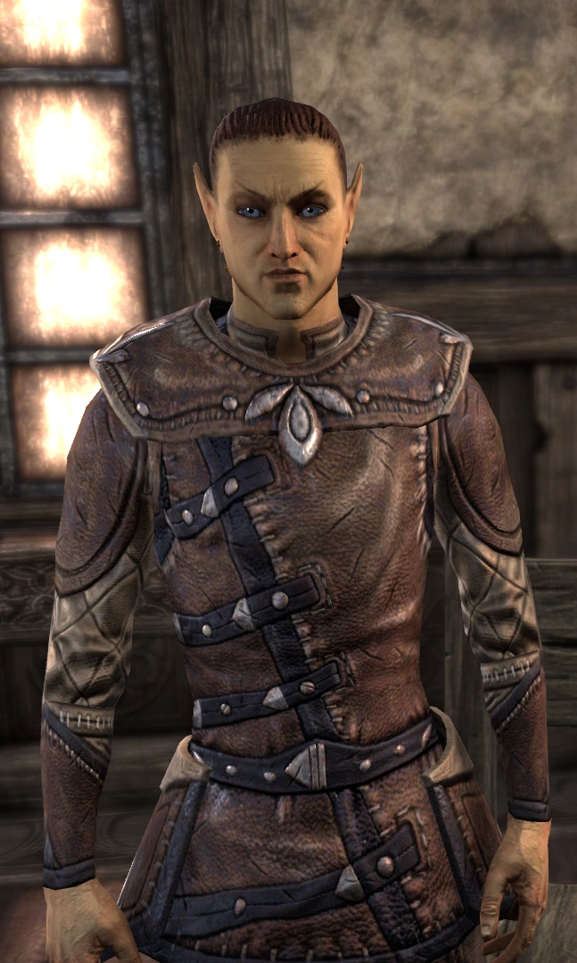 Nelerien | Wiki The Elder Scrolls | Fandom