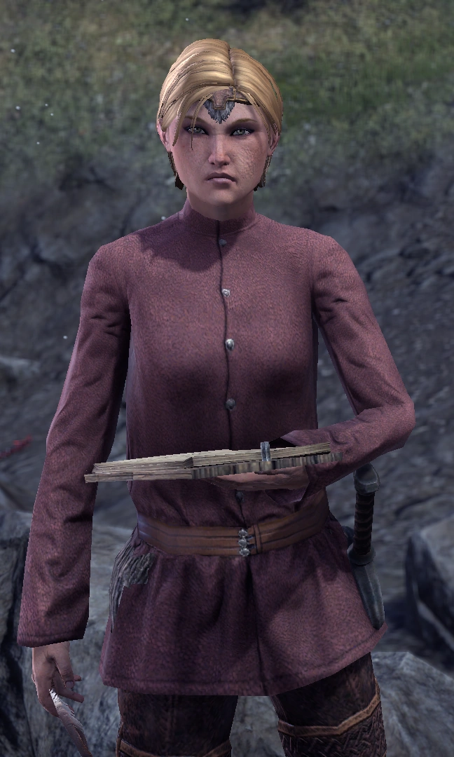 Piet | Wiki The Elder Scrolls | Fandom