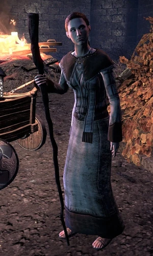 Sister Terran Arminus | Elder Scrolls | Fandom