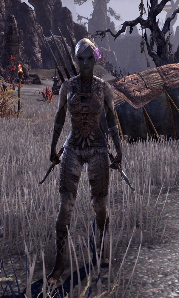 Dreyla Rothan | Elder Scrolls | Fandom