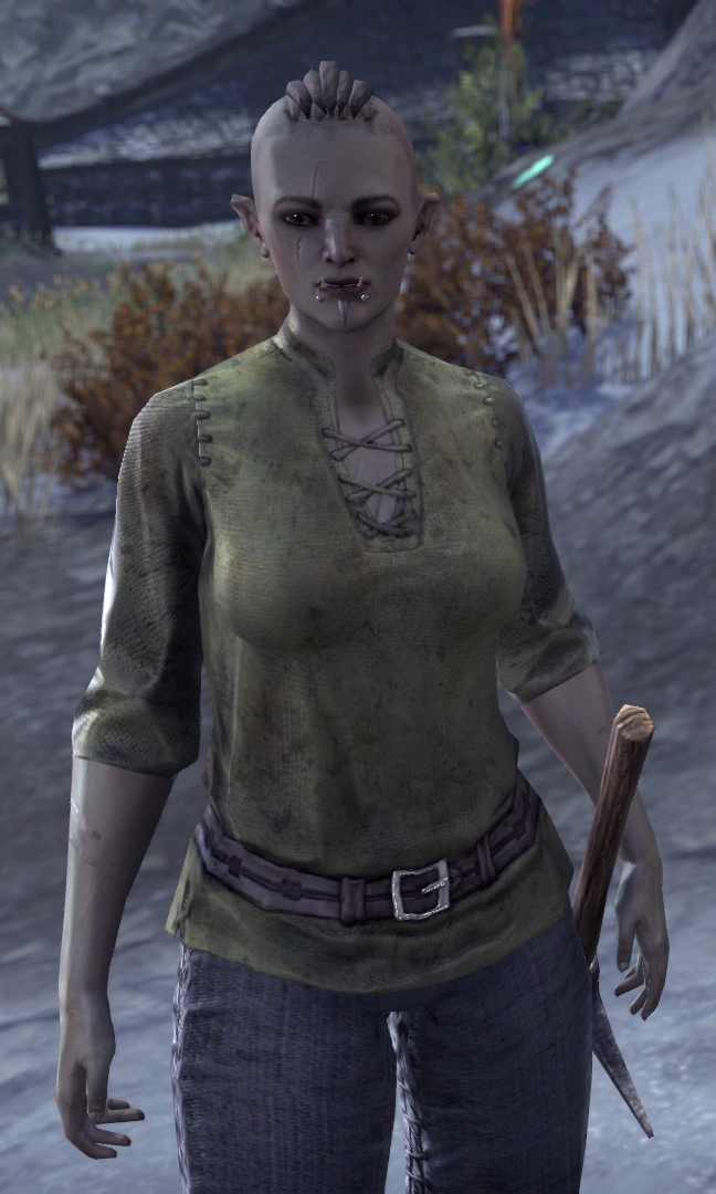 Mahgrok | Wiki The Elder Scrolls | Fandom