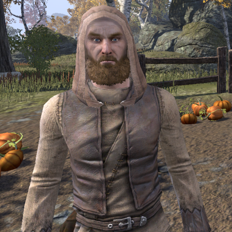 Скулрейд Лисий Укус The Elder Scrolls Wiki Fandom