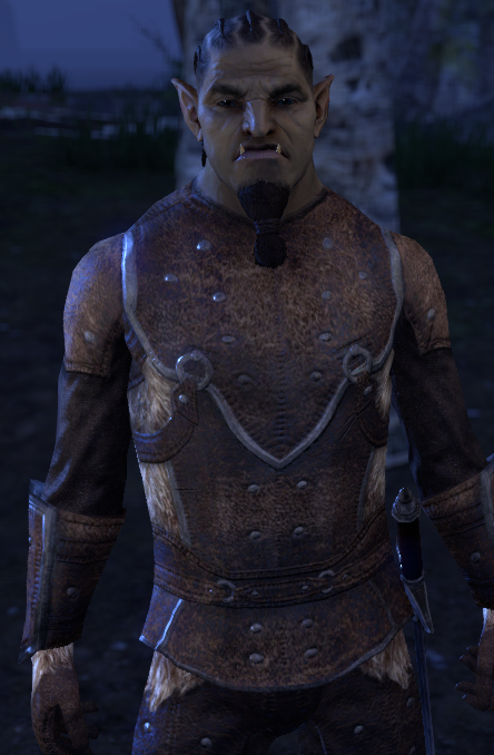 Chasseur De Montemer Wiki The Elder Scrolls Fandom