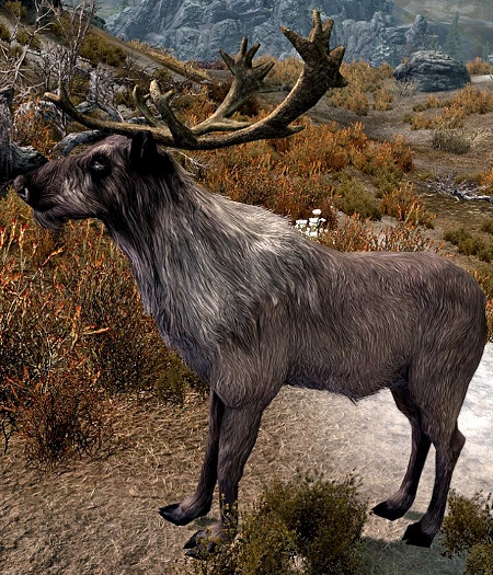 Deer (Skyrim) | Elder Scrolls | Fandom