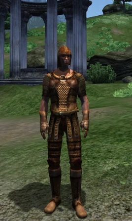 Pit Armor | Elder Scrolls | Fandom