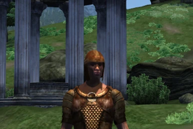 Oblivion Dark Brotherhood Armor