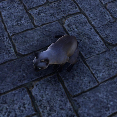 Wendelbek (Chat) | Wiki The Elder Scrolls | Fandom