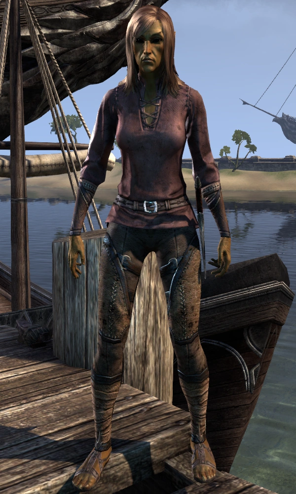 Captain Erronfaire | Elder Scrolls | Fandom