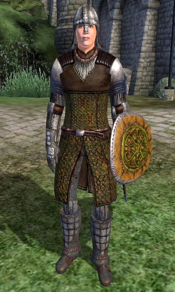 Cheydinhal Soldier | Elder Scrolls | Fandom