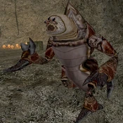 Kwama (Morrowind) | Elder Scrolls | Fandom