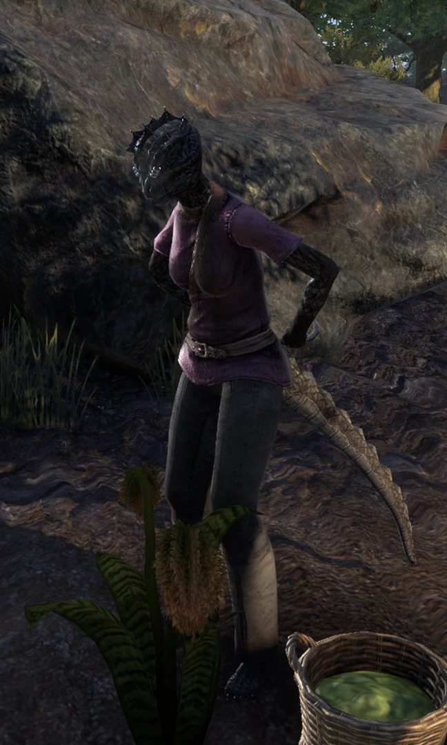 Jeeda-Tei | Elder Scrolls | Fandom