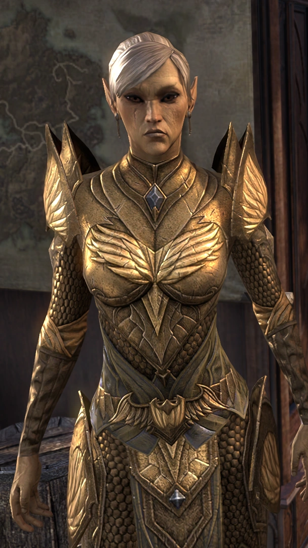 Justiciar Farowël | Wiki The Elder Scrolls | Fandom