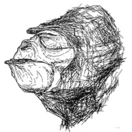 Marukh | The Elder Scrolls Wiki | Fandom