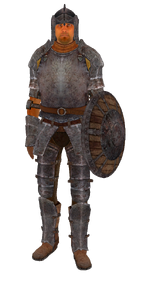 Armor Sets (Oblivion) | Elder Scrolls | Fandom