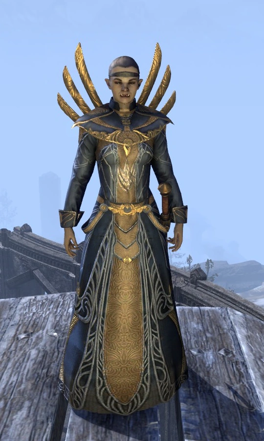 Priest Thegshalash | Elder Scrolls | Fandom