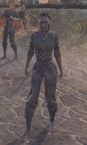 Resistance Fighter (Hallin's Stand) | Elder Scrolls | Fandom