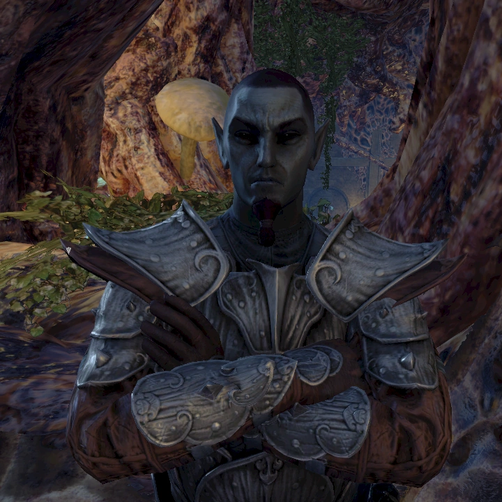 Дозорный Атирес | The Elder Scrolls Wiki | Fandom