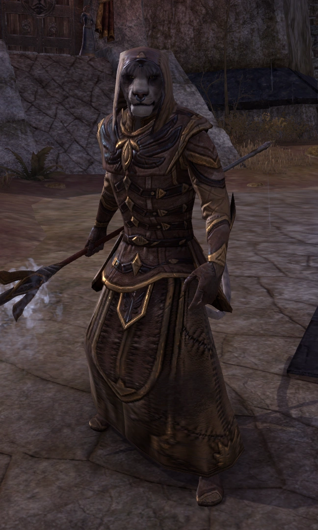 Irgun | Wiki The Elder Scrolls | Fandom