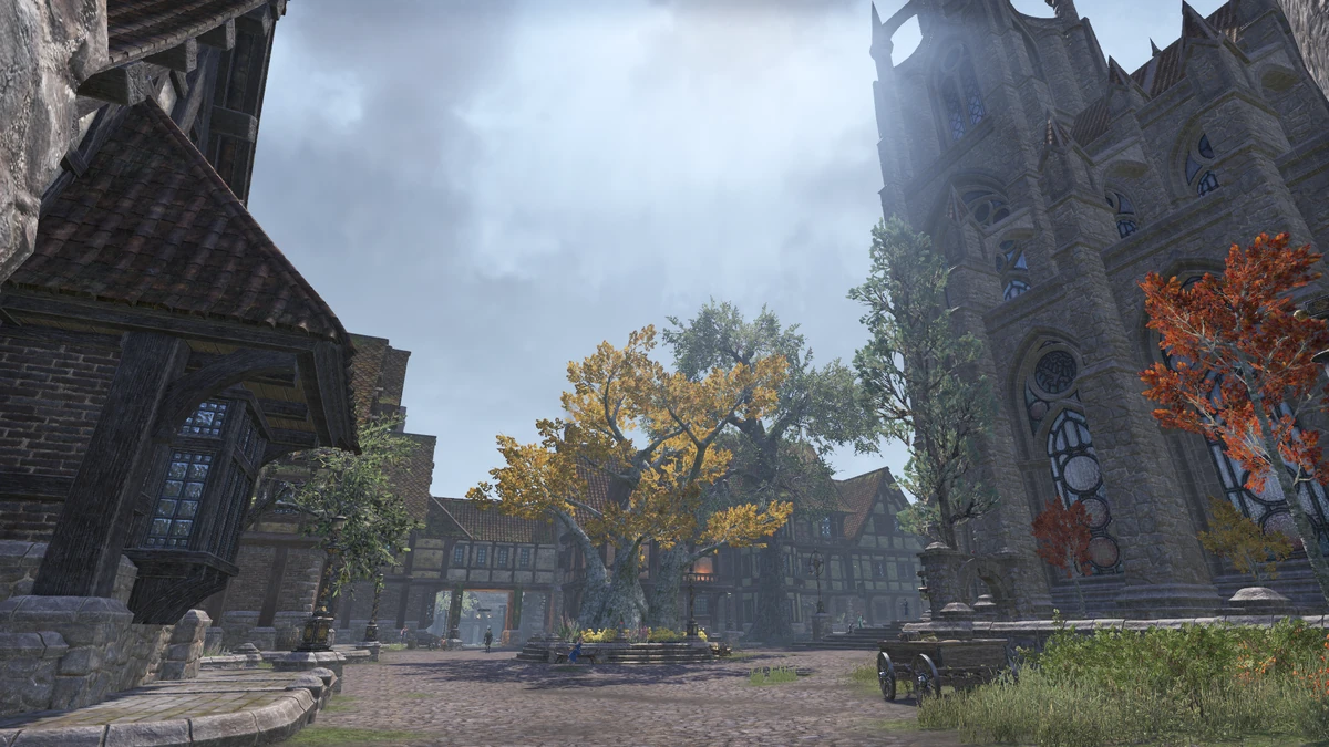 Leyawiin (Online) | Elder Scrolls | Fandom