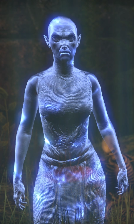 Marwyn | Wiki The Elder Scrolls | Fandom