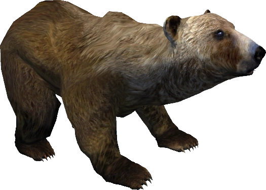 Бурый медведь (Oblivion) | The Elder Scrolls Wiki | Fandom