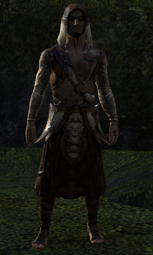 Spinner Sandaenion | Elder Scrolls | Fandom