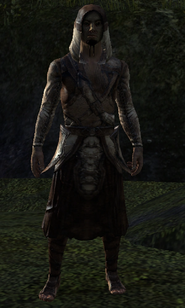 Spinner Sandaenion | Elder Scrolls | Fandom