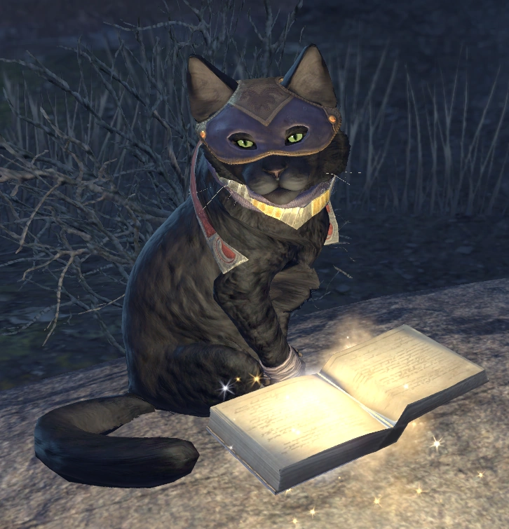 Category:Online: Alfiq | Elder Scrolls | Fandom