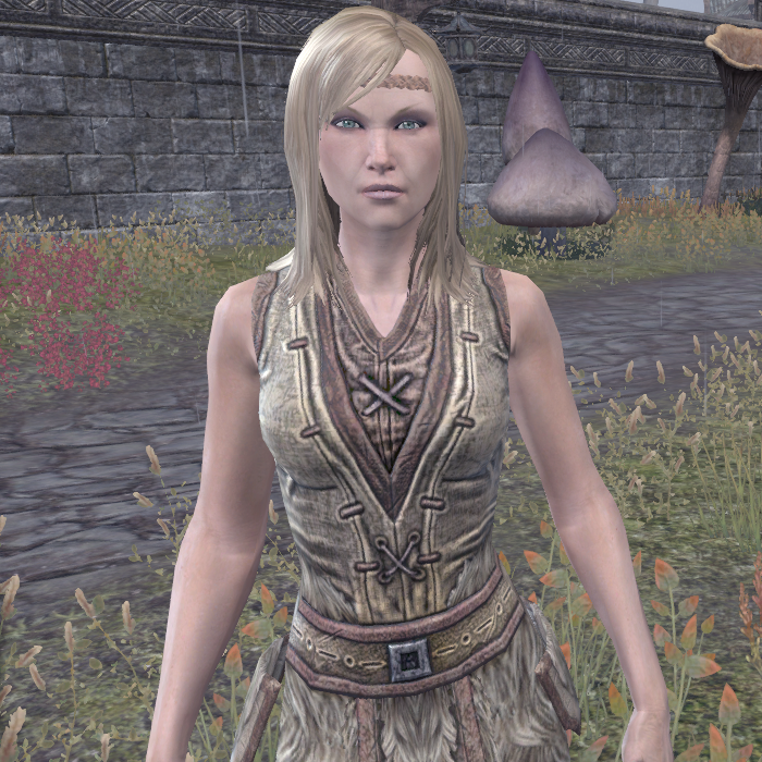 Амихильда Последнее Дитя The Elder Scrolls Wiki Fandom