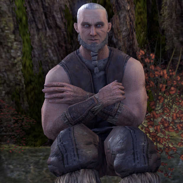 Лотгар Твёрдая Рука The Elder Scrolls Wiki Fandom