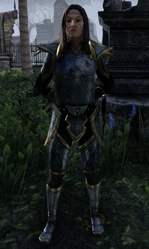 Captain Elonthor | Elder Scrolls | Fandom