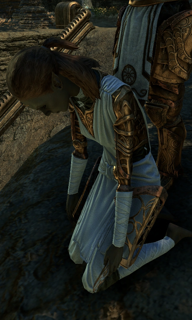 Dinya Velendas | Wiki The Elder Scrolls | Fandom