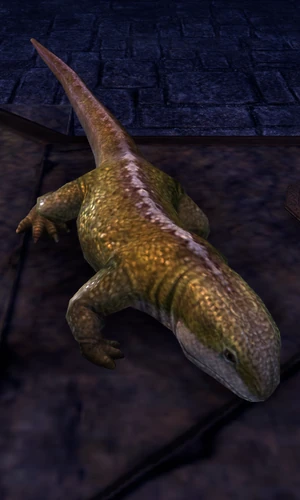 Lizard | Elder Scrolls | Fandom