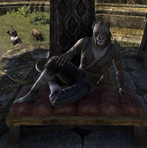 Grimpe Aux Arbres Wiki The Elder Scrolls Fandom