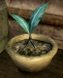 Nirnroot (Oblivion) | Elder Scrolls | Fandom