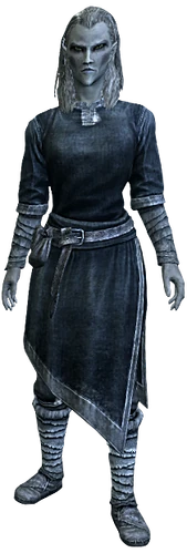 Nirya | The Elder Scrolls Wiki | Fandom