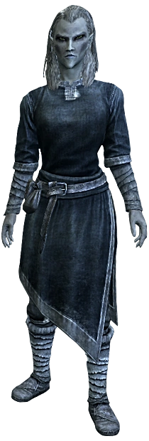 Nirya | The Elder Scrolls Wiki | Fandom