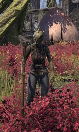 Tale-Spinner | Elder Scrolls | Fandom